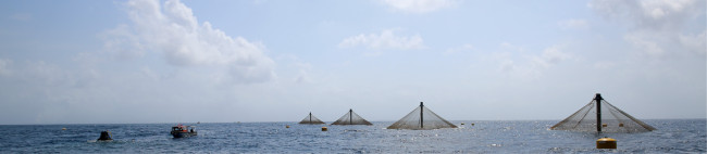 The Tide Rises for Open Ocean Farming - Inside Unmanned Systems