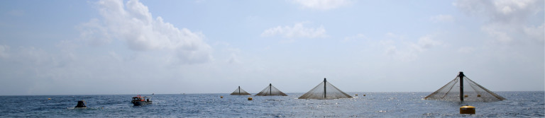 The Tide Rises for Open Ocean Farming - Inside Unmanned Systems