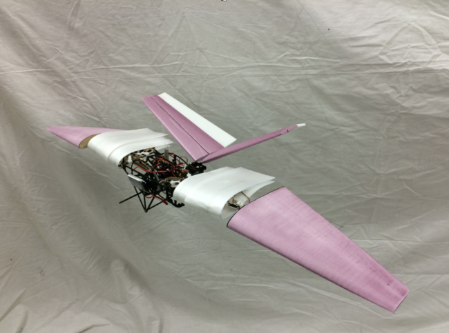 Robotic Falcon Could Keep Birds Away from Airplanes - Inside Unmanned ...