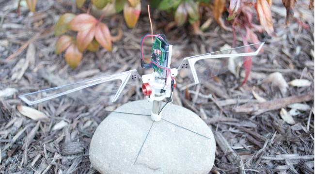 Bugged: Insects Provide Design Inspiration - Inside Unmanned Systems