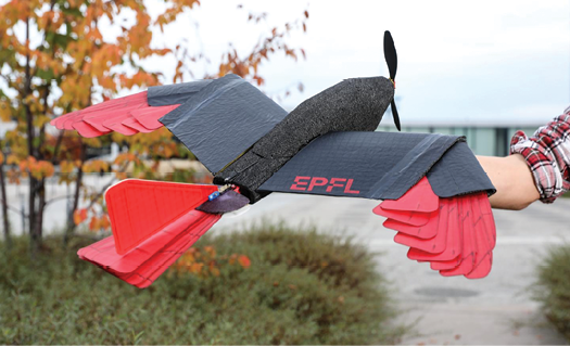 Mimicking Biology for Better Drones - Inside Unmanned Systems