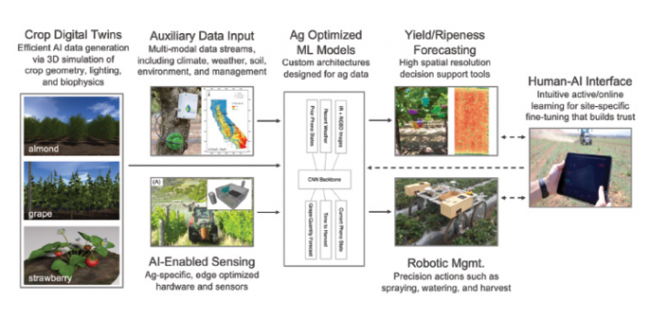Inside AI: Food Processing and Distribution in the Era of Artificial ...