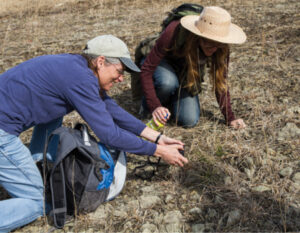 Inside AI - Making Sense of it All: Big Data, Smart Maps, AI Help ...