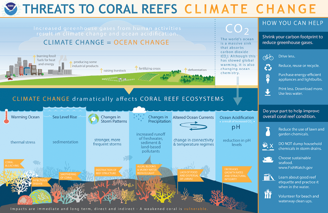 Monitoring and Protecting Ocean Ecosystems - Inside Unmanned Systems