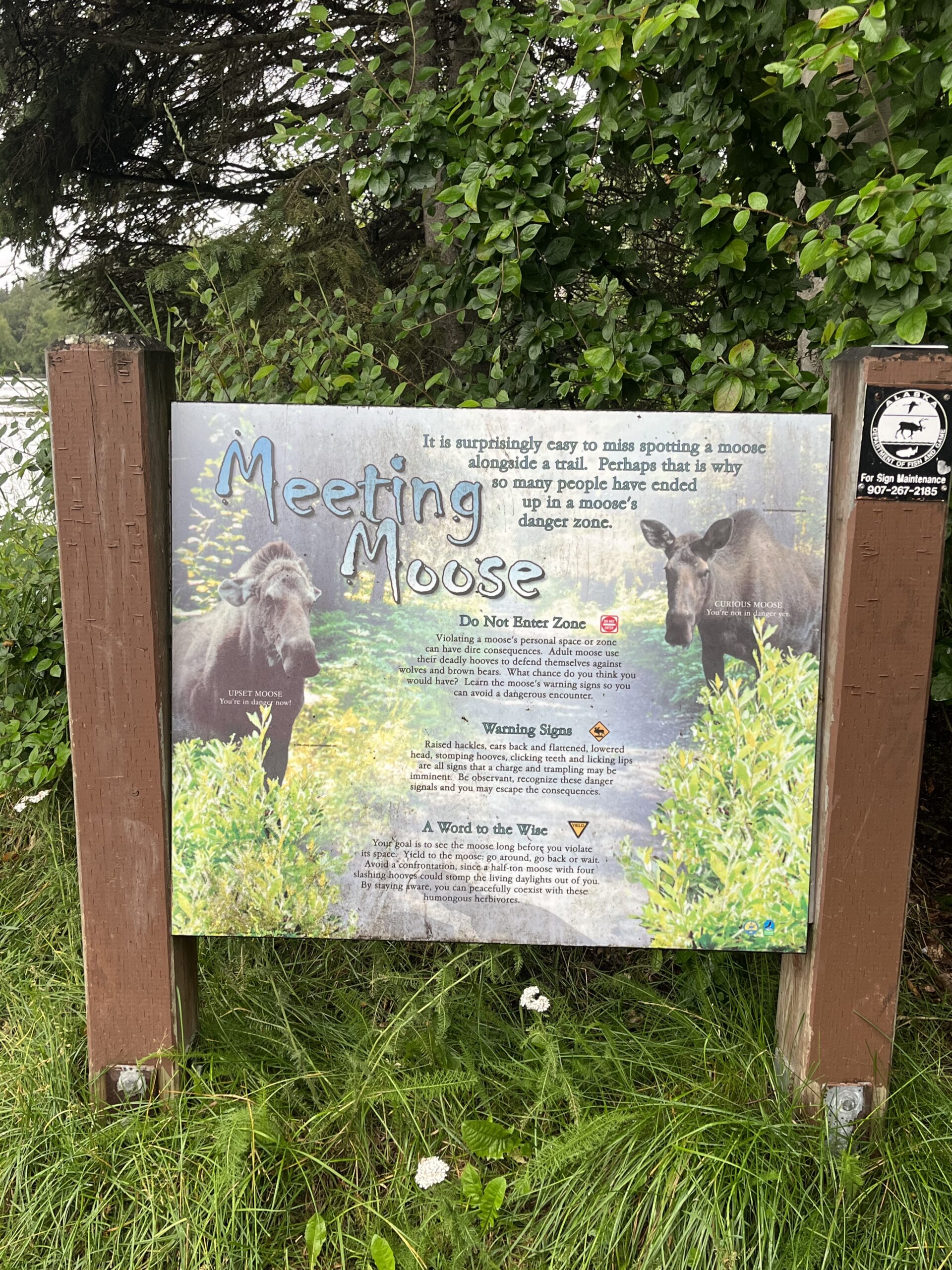 Alaska Aims to Be Undisputed Drone Capital of the World - Inside ...