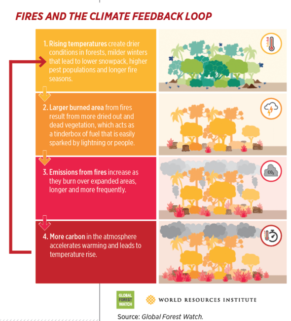 The World is on Fire. UAS Have Joined the Fight. - Inside Unmanned Systems
